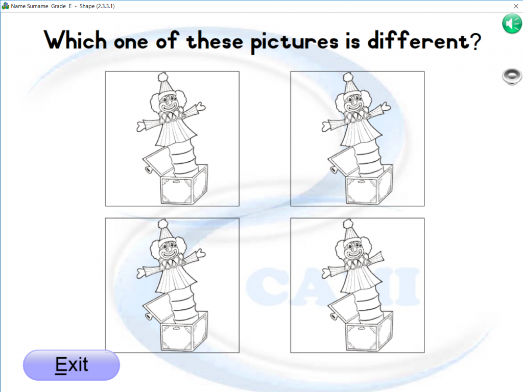 Cami Perceptual Skills Builder 12-Month Subscription - Cami