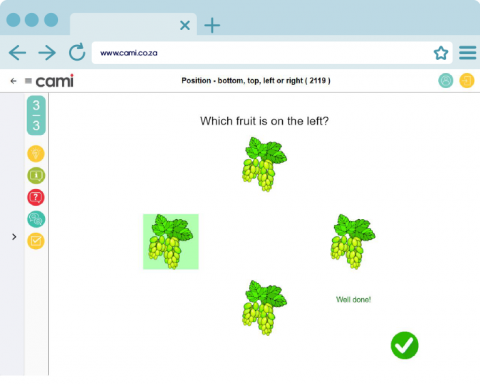 Cami Perceptual Ed - Cami