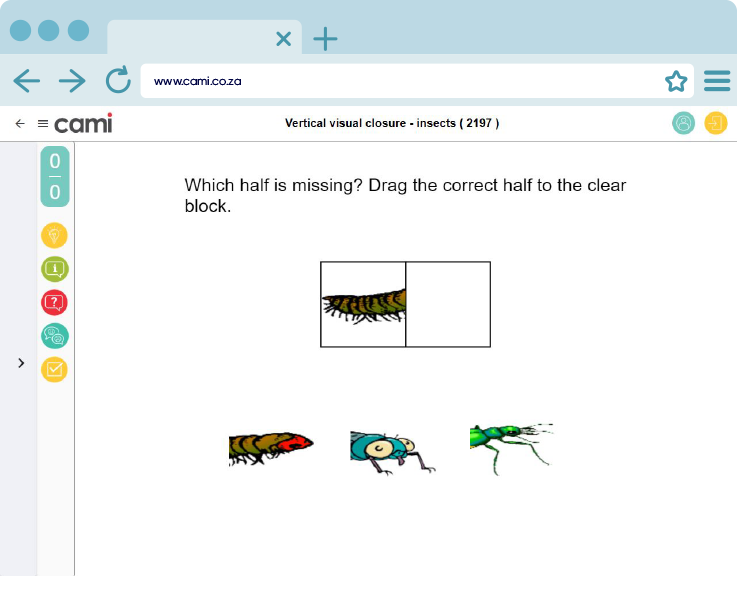 Cami Perceptual Ed - Cami