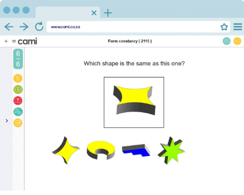 Cami Perceptual Ed - Cami