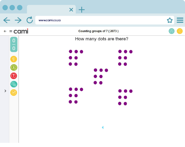 Cami Perceptual Ed - Cami