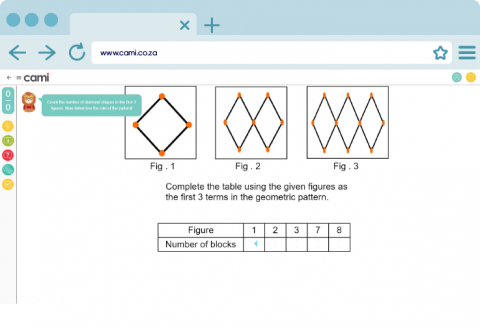 Cami Mathematics - Cami